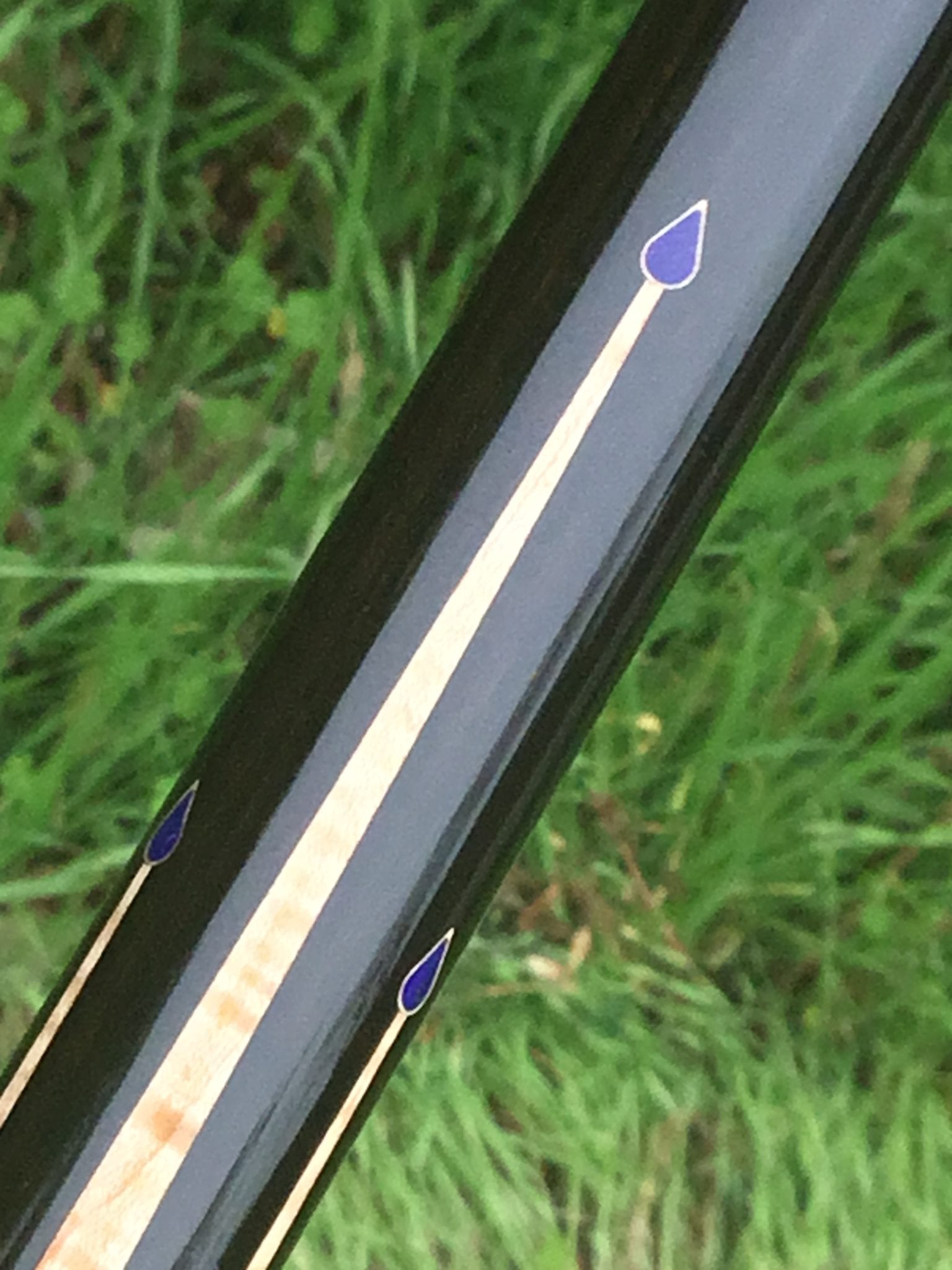 Sheldon Lebow | Biggelbachs