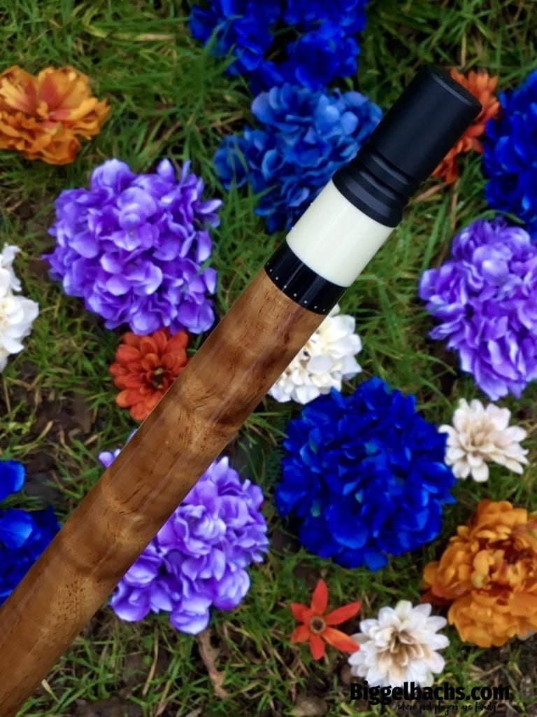 Cory Barnhart | Biggelbachs